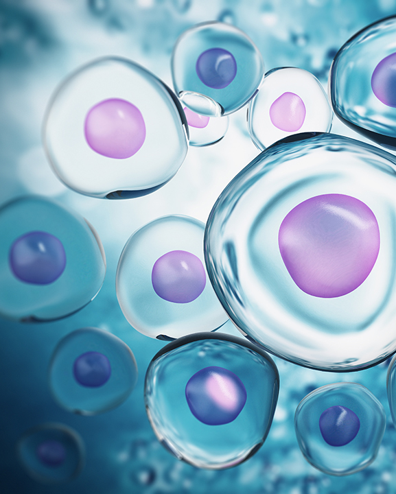 Aseptic Connectors for Cell Culture | CPC